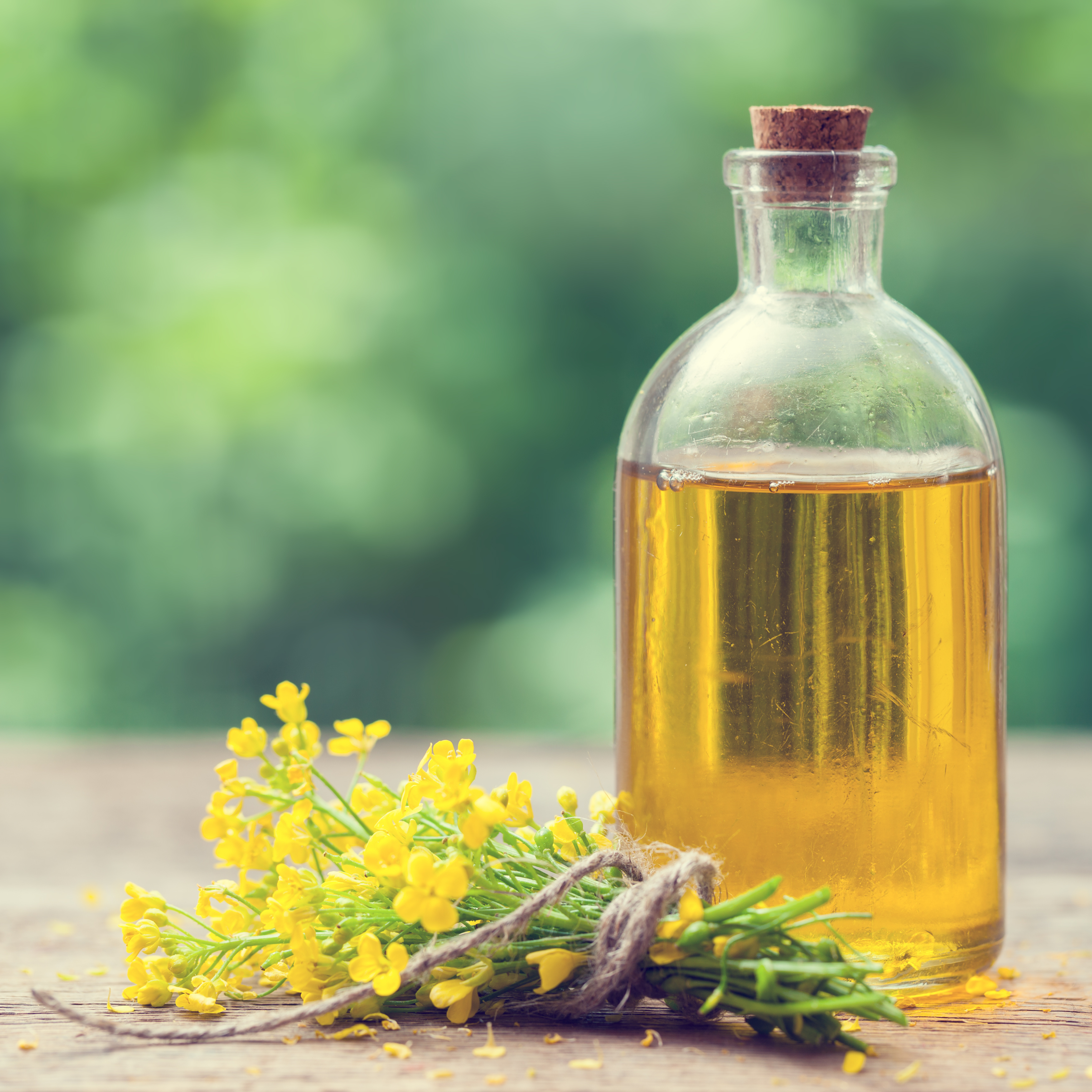 Embracing the Gold: Canola Oil - A Healthier Culinary Companion ...