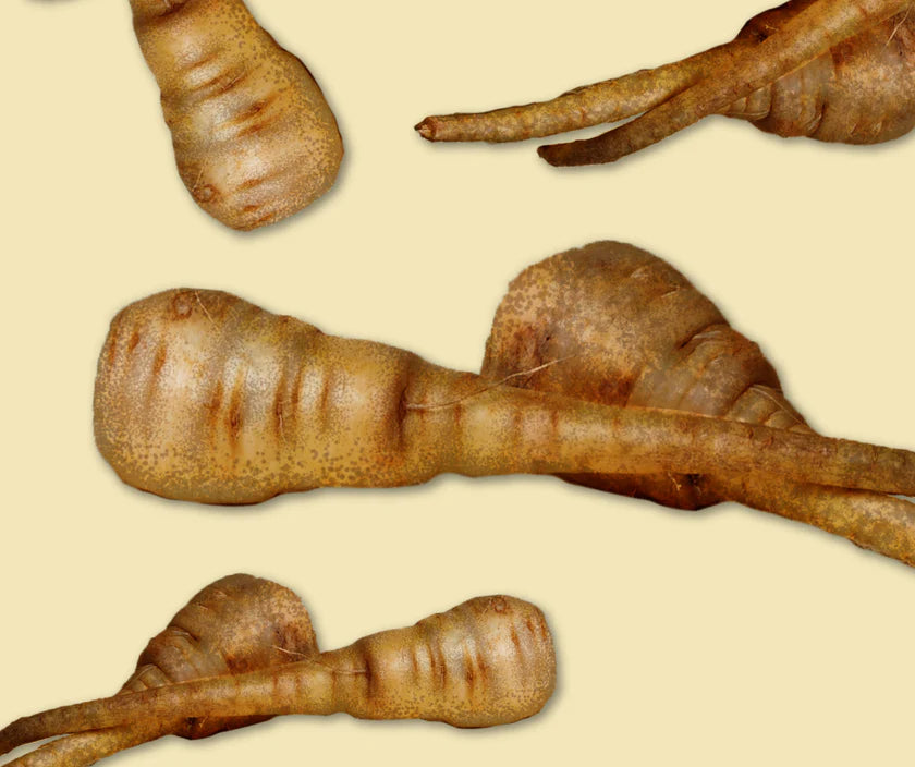 What is Chicory Root: Benefits, Uses, and Why It’s in Amazin' Graze ...